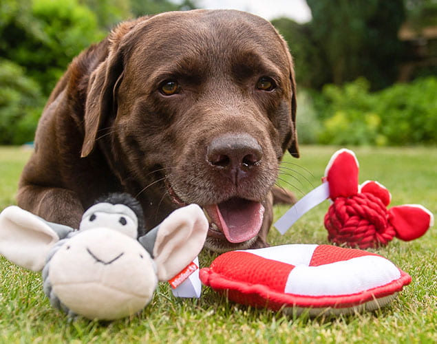 Weizen-Ente, klassik natur M135000 - mbw